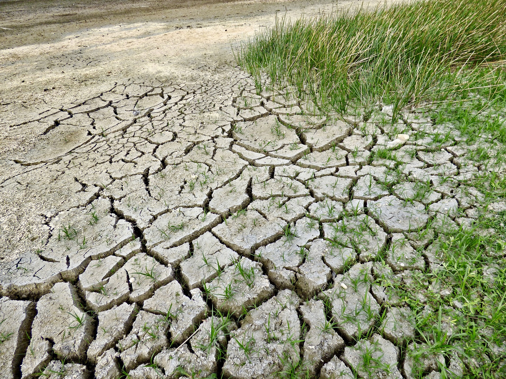 Le changement climatique et la ressource en eau. Des tensions ...