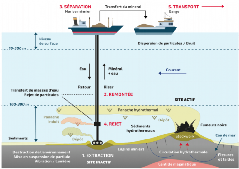 Les ressources des grands fonds marins : exploiter l’océan pour soulager la terre ? - La ...